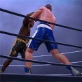 Ultimate Boxing - Play Html5 Games Online