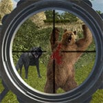 Wild Hunting Clash - Play Simulator Games Online